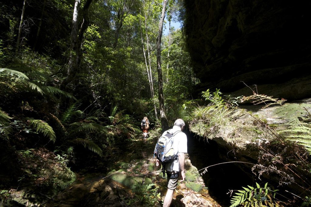 Camp Cave Creek (actually Waterfall Creek) - fat canyoners