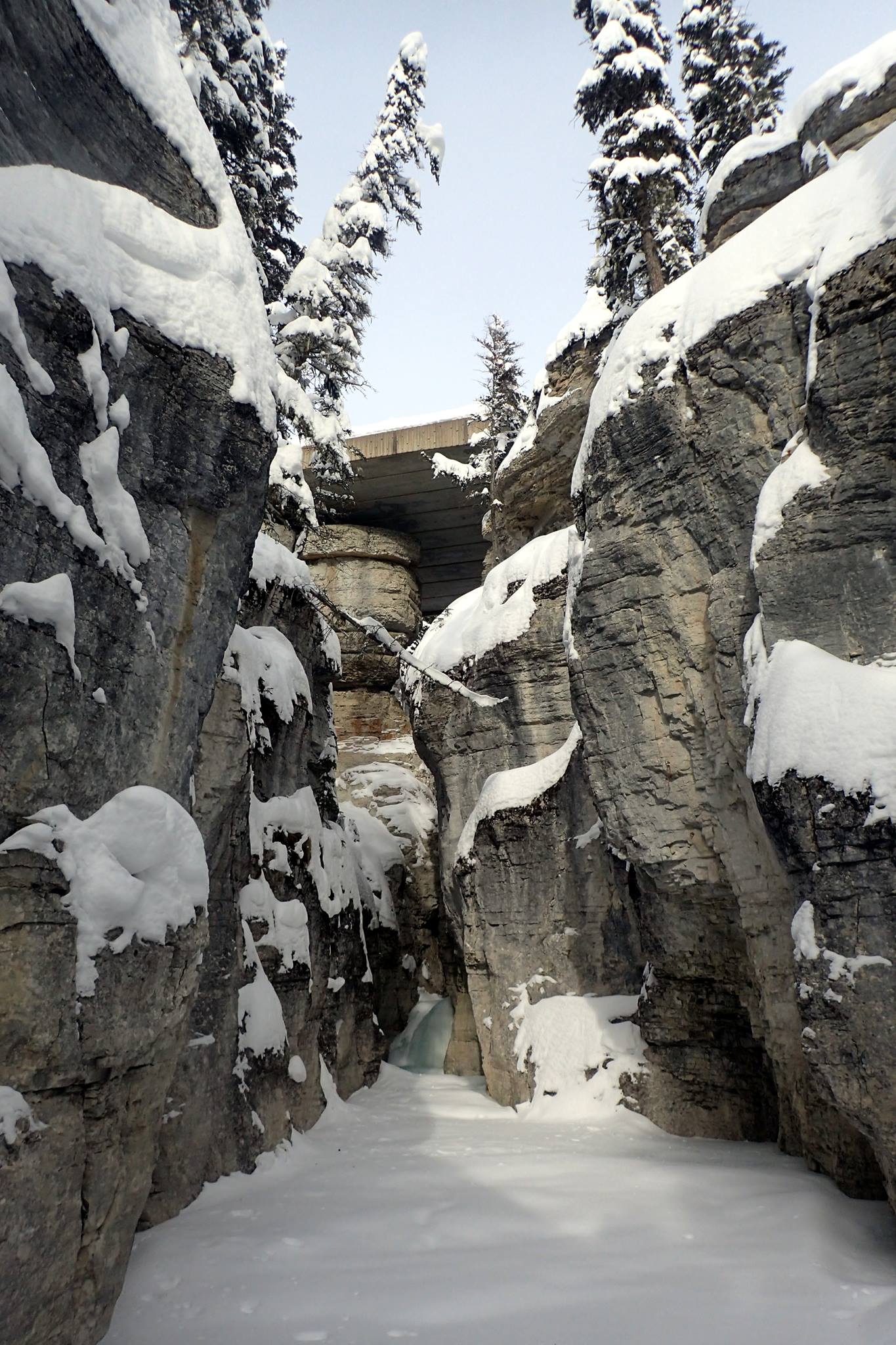 Ice climbing in BS Canyon (Canadian Rockies) - fat canyoners