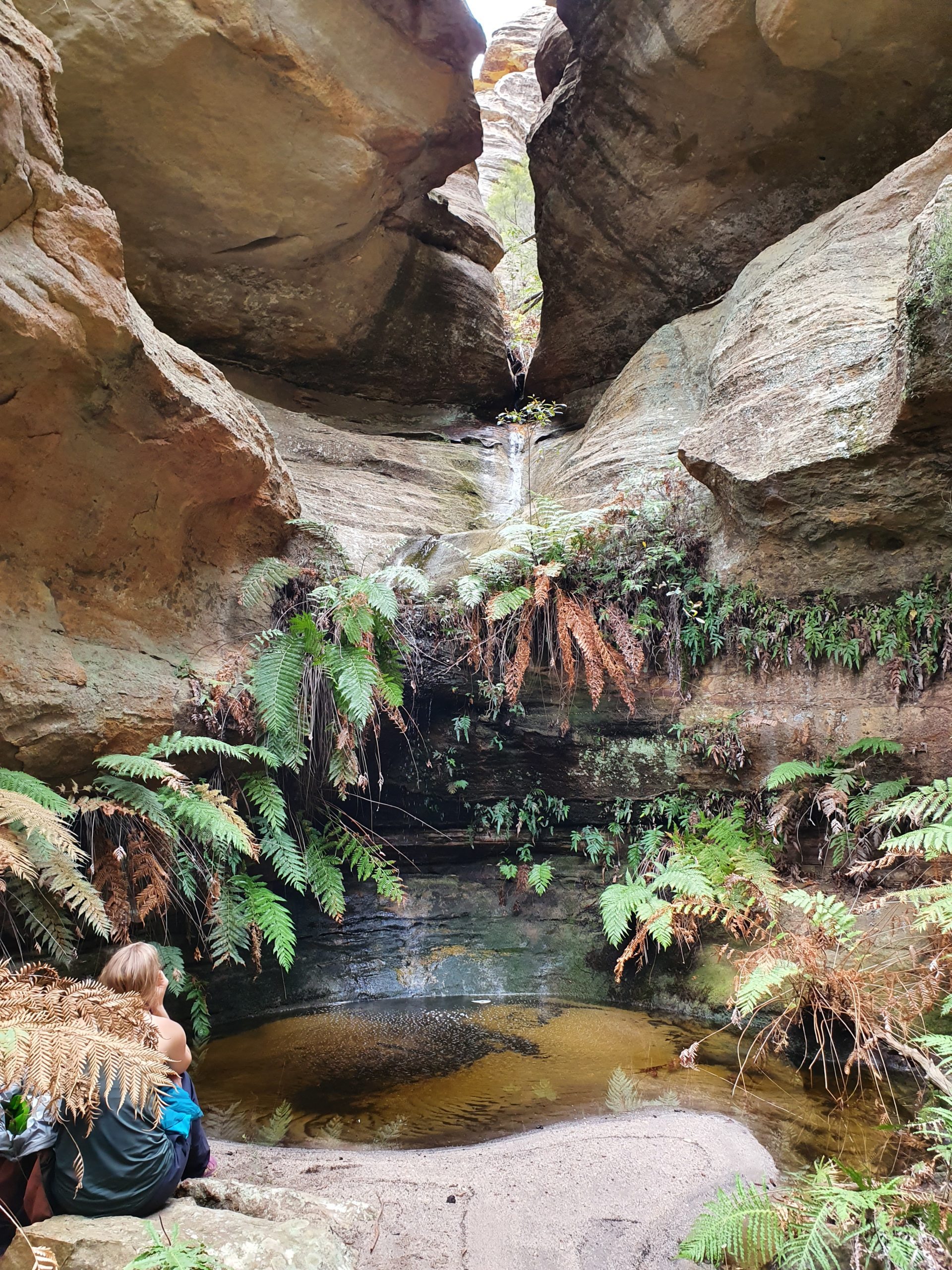 An amble around Mt Airly - fat canyoners