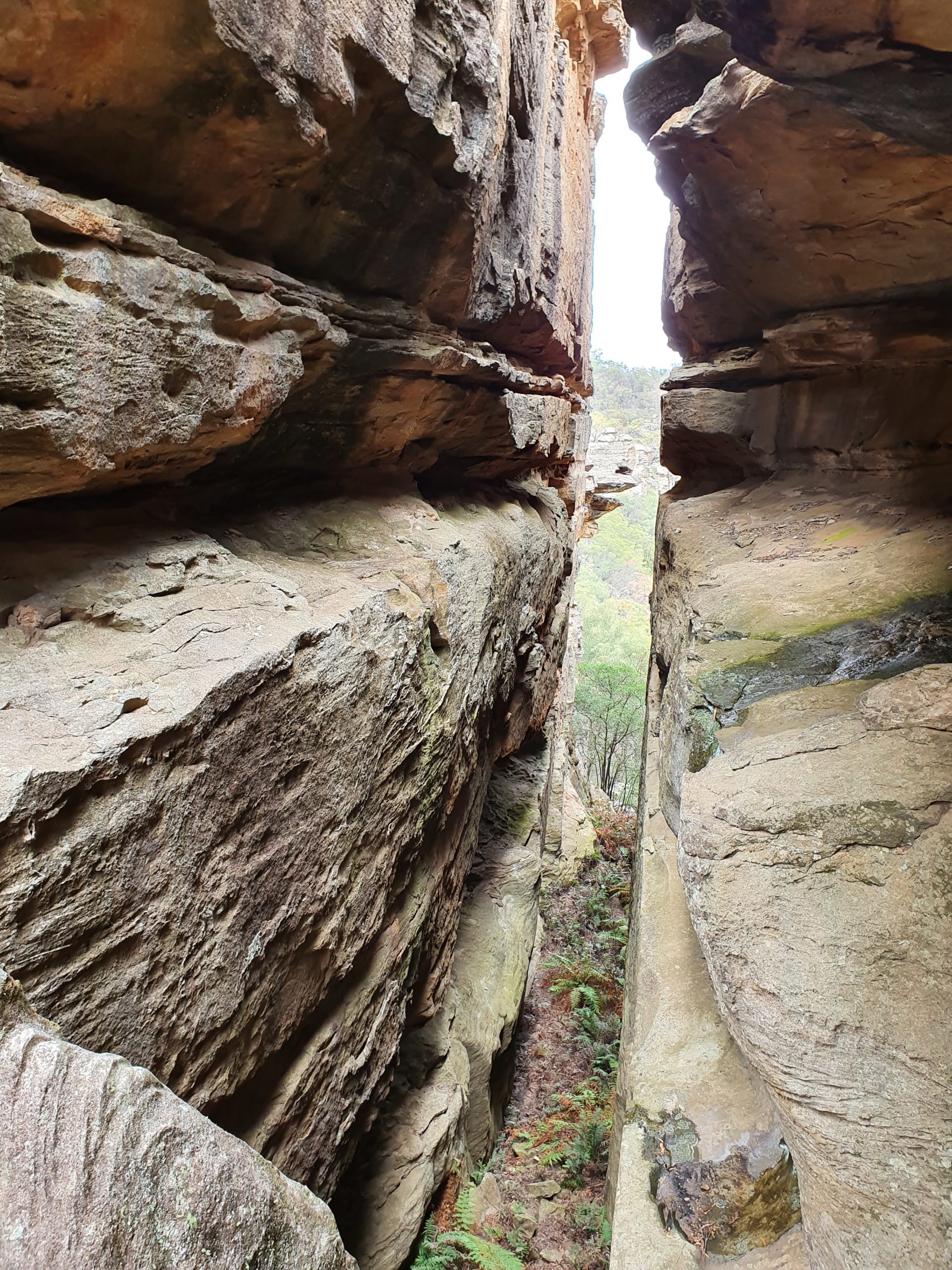An amble around Mt Airly - fat canyoners